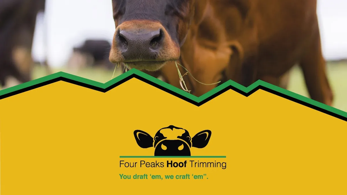 Four Peaks Hoof Trimming